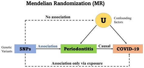 Randomization Là Gì Cách Sử Dụng Và Ví Dụ Trong Tiếng Anh