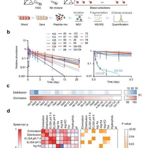 Figure S3 Overlay Of Fcrn Binding Hsa And Nb Binding Hsa Structural Download Scientific