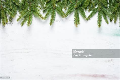 텍스트를위한 공간이있는 흰색 질감의 배경 위에 자연 전나무 나뭇 가지 크리스마스에 대한 스톡 사진 및 기타 이미지 크리스마스 프레임 0명 Istock
