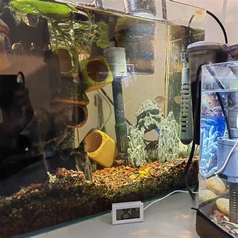 물고기와 새우 바위 동굴 장식 물고기 탱크 Aquascape 물고기와 새우 사육 은신처에 대한 1pc 수지 두개골 산