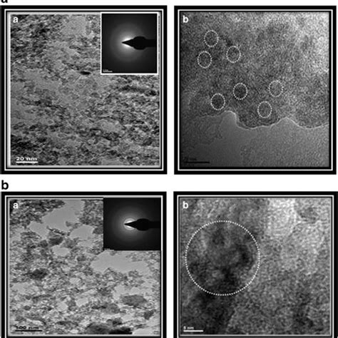Particle Size Distribution As Determined By Dls Of Tio2 Nanoparticles Download Scientific