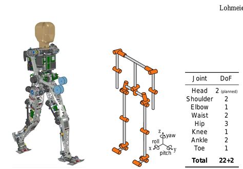 22 Dof Humanoid Robot Lola Left And Kinematic