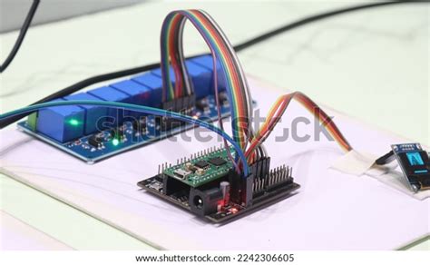 Relay Module Optocoupler Connected Programmable Microcontroller Stock Photo