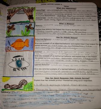 Interactive Notebooks Teaching Learning In CMS
