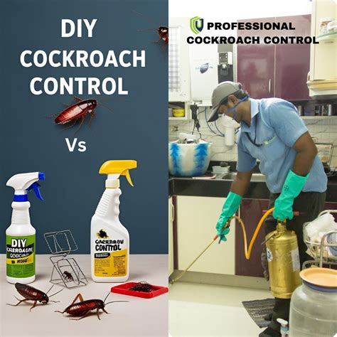 Diy Cockroach Control Vs Professional Cockroach Pest Control