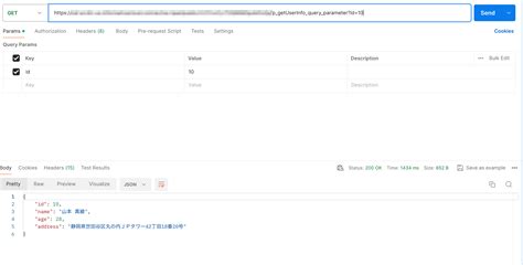【cai】informaticaでのクエリパラメータを使用したapi連携プロセス作成方法のご紹介 Developersio