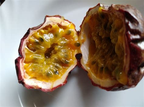 Удивительные всходы 13 необычных растений из семян на моем подоконнике Вспоминая о лете Дзен