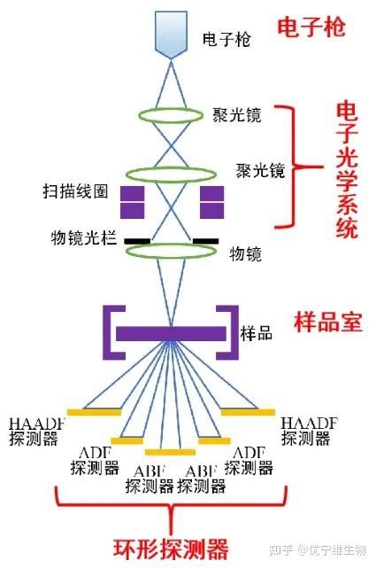 扫描透射电子显微镜 Stem 技术详解及其与sem、tem的对比 知乎