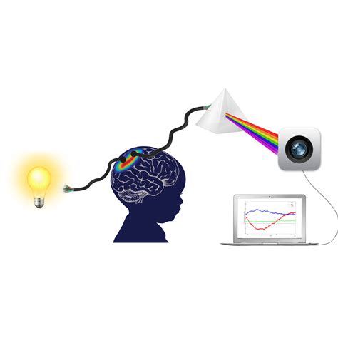 Engineering 1 Metabolight