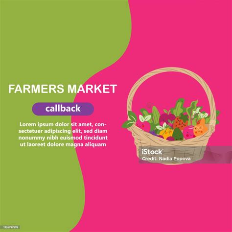 과일과 채소가 있는 Nfarmer 시장 포스터 신선한 채소와 천연 농장 유기농 무 또는 콜리플라워 와 브로콜리 양배추 호박 스쿼시 또는 오이와 당근 Nnn의 벡터 디자인