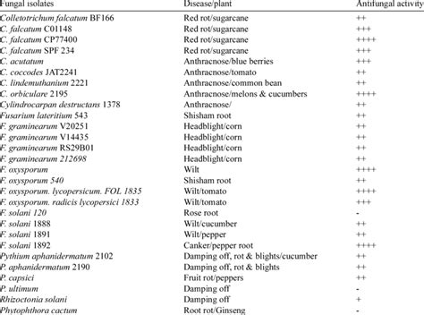 Antifungal Activity Of P Aurantiaca Pb St2 Against Pathogenic Fungal Download Scientific
