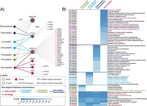 Gene Ontology Biological Processes Analysis Unique Versus Common A