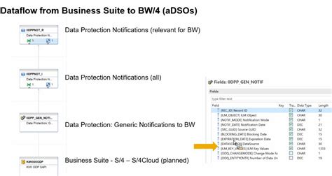 Introducing The Data Protection Workbench Of Sap B Sap Community