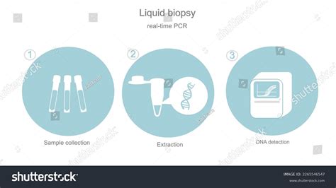 Detection Icon Dna Detection Polymerase Chain Stock Vector Royalty