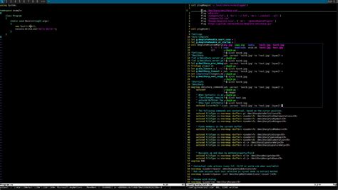 Strange Behave · Issue 457 · Omnisharpomnisharp Vim · Github