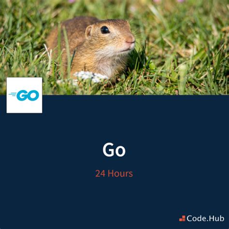 Code Learn Programs Code Hub