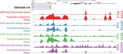 Figure S1 Factornet Cross Cell Type Predictions Are Comparable To Download Scientific Diagram