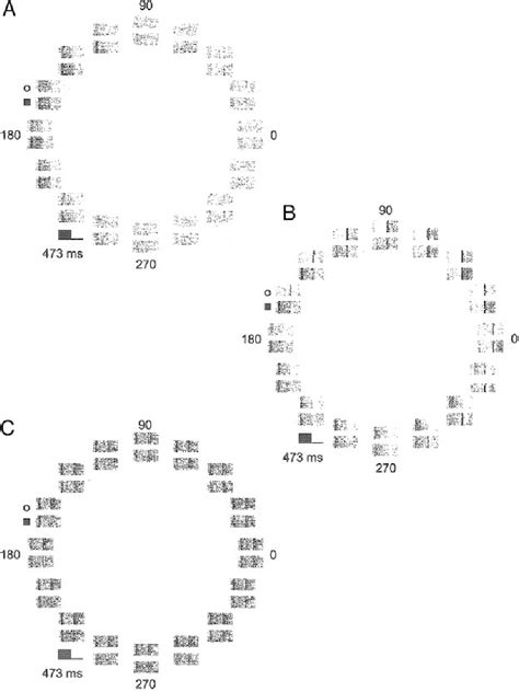 Figure 1 From Neural Coding Of Spatial Phase In V1 Of The Macaque