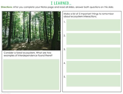Ecosystem Questions And Answers For Quizzes And Tests Quizizz