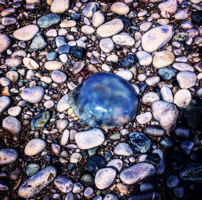 Post 634333690203340800 Mysterious Wet Stain Tumblr Com Tumbex