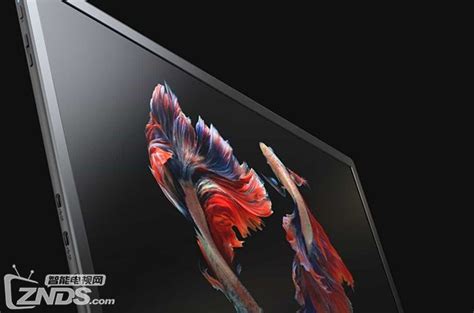 Joled开始试产喷墨印刷oled面板样品 2020年实现量产 Znds资讯