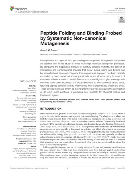 Pdf Peptide Folding And Binding Probed By Systematic Non Canonical Mutagenesis