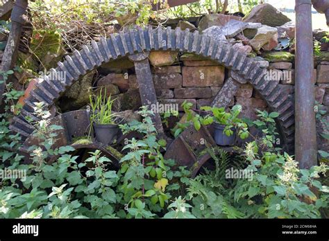 Large Mill Wheel Cogs And Gears Rusting In Undergrowth On A Farm In