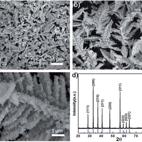 Xrd Spectra Of Polyamide 6 A Bulk Pa6 B Pa6 Nanotubes Download Scientific Diagram