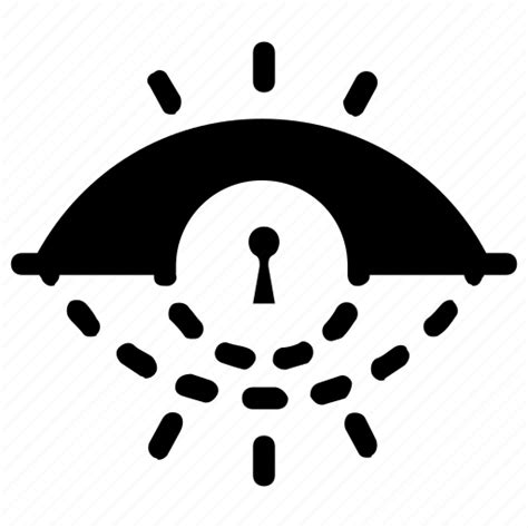 Password Protection Security Visibility Icon