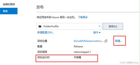基于 core框架的项目发布技巧 net core 发布时很多文件 csdn博客