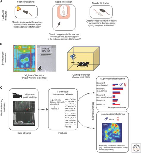 Quantifying Sex Differences In Behavior In The Era Of “big” Data Pmc