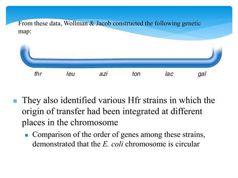 Gene And Genetic Mapping By Recombination Pptx