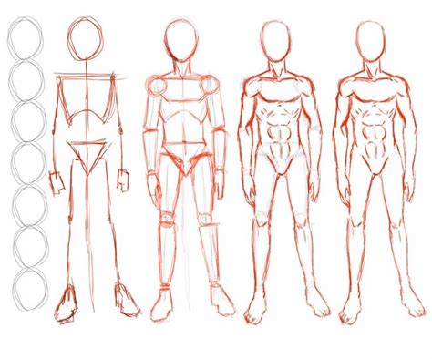 How To Draw Male Body Types
