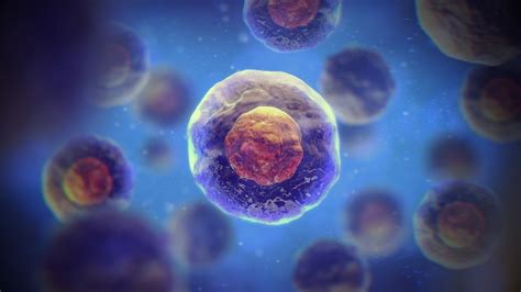 Nanometer To Meter Conversion Exploring The World Of Ultra Small Measurements