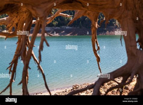 Roots From An Old Tree That Erosion Has Exposed Creates A Natural Frame For Looking At Lost