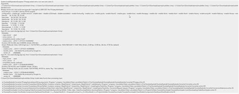 A Video Cannot Download Because Its Wrong Subtitles · Issue 301