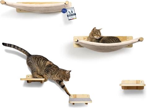 Klimwand Voor Katten Wandkrabpaal En Kattentrap 5 Delig Massief