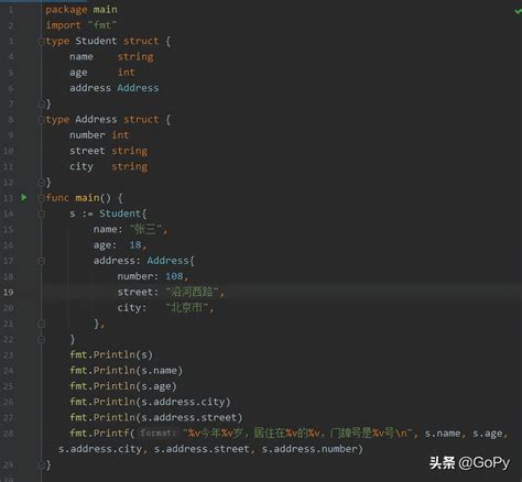 Go语言编程从入门到精通，结构体和指针 Csdn博客