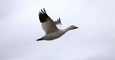 Understanding Zero Trust Frameworks For Cloud Security Type B