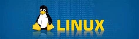 Linux终端如何播放视频linux终端视频播放教程 不念博客 Linux终端如何播放视频linux终端视频播放教程 不念博客