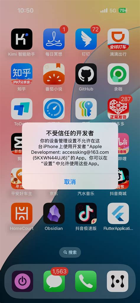 Flutter项目从安装到真机调试 黑蚁巢穴