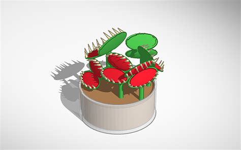 3d Design Venus Fly Trap Tinkercad