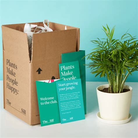 Cardboard Boxes For Shipping Plants At Joel Morton Blog