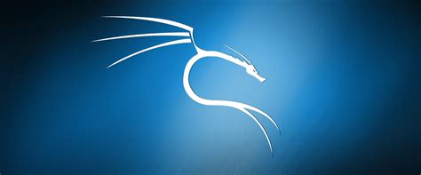 Kali Linux App For Windows Bit Download Lifestylegai