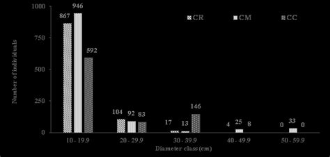 Number Of Trees Individual Based On Diameter Class The Cocoa Based Afs Download Scientific