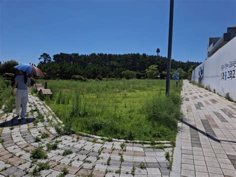 부산도시공사 추석 맞이 ‘오시리아관광단지 공원·녹지 정비 중앙일보