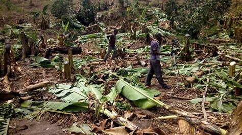 Kayunga Youths Are Turning Too Much On Us Kitimbwa Town Council