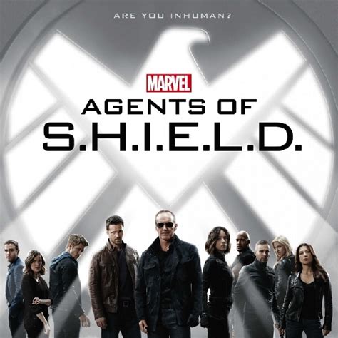 Sejarah Dan Fakta Tersembunyi Shield Di Marvel Dafunda