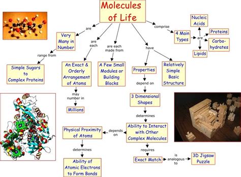 Pin On Molecules Of Life