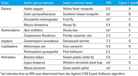 Rna Integrity Analysis Of Insect Total Rna With The Agilent 2100 Download Table